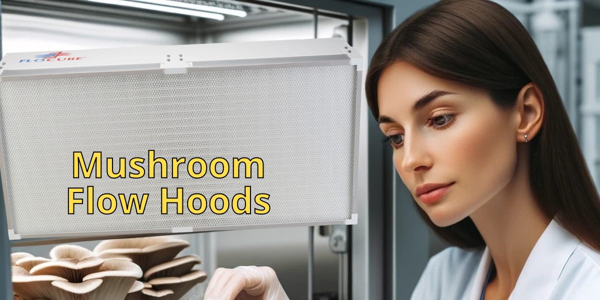 The Sterile Solution: Mushroom Flow Hoods for Successful Cultivation ...