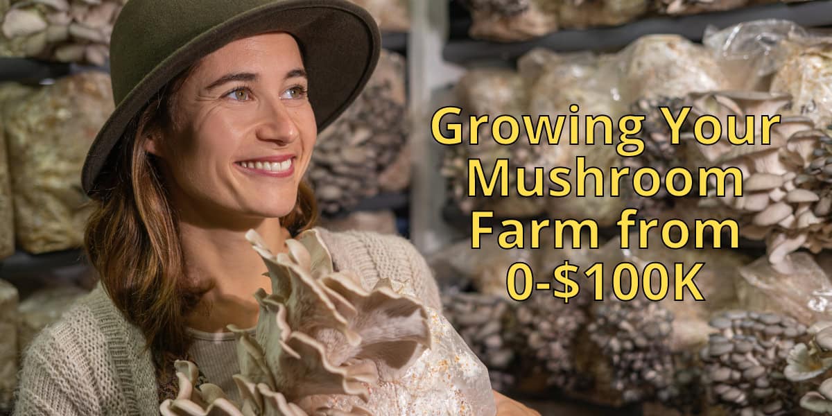 Mushroom Farming from Zero to 6 Figures